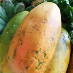 Papaya (Ripe) – Kalipayan Natural Farm